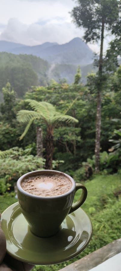 Afternoon Coffee Cafe Natural Feel Stock Photos - Free & Royalty-Free ...