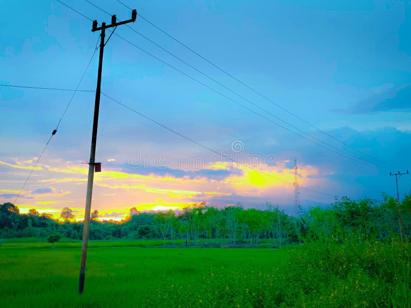 An afternoon farm. stock image. Image of sunset, pelita - 223188421