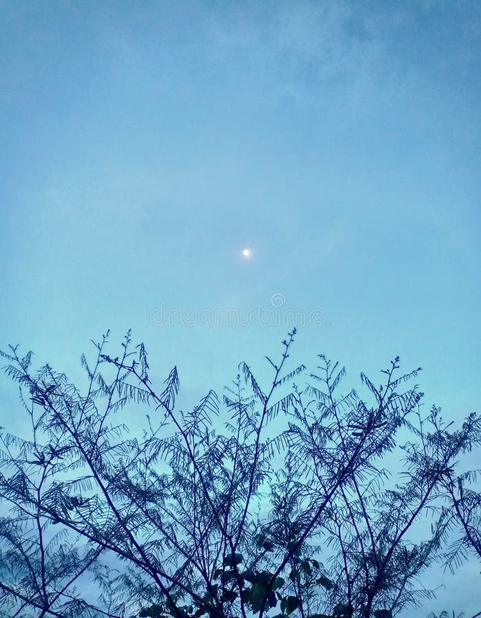 In the Afternoon, the Moon Appears with Its Cold Light in Indonesia ...