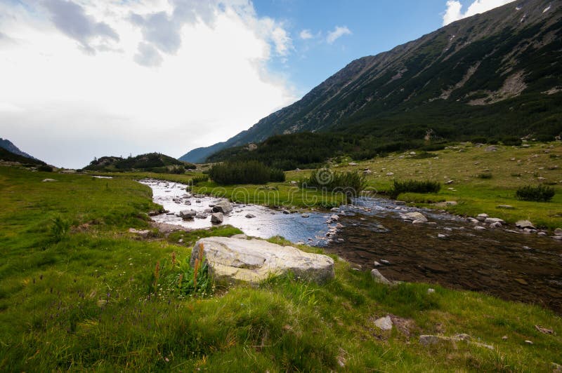 Afternoon Mountain Scenery stock photo. Image of tree - 26006480