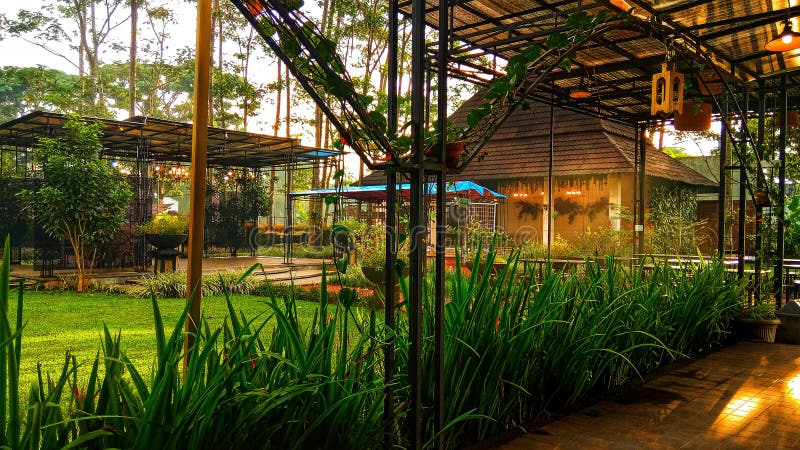 Afternoon at One of the Nature-themed Restaurants Stock Photo - Image ...