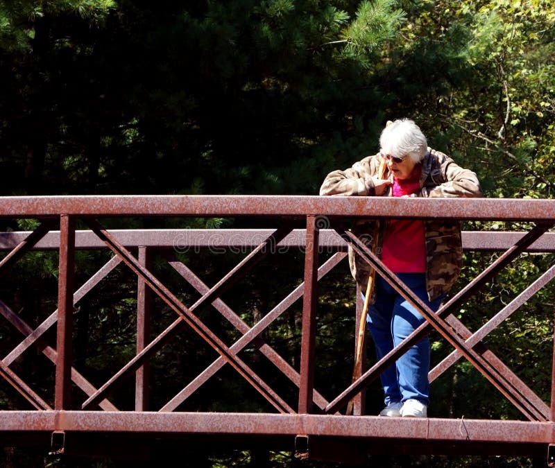 Afternoon Peace stock image. Image of leaves, steel, lady - 21588687