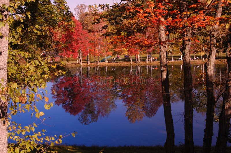 Afternoon Reflections stock image. Image of trees, leaves - 47433