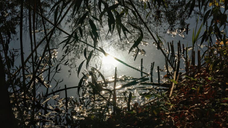Afternoon Reflections of the Sun on a Lake Surface Stock Image - Image ...