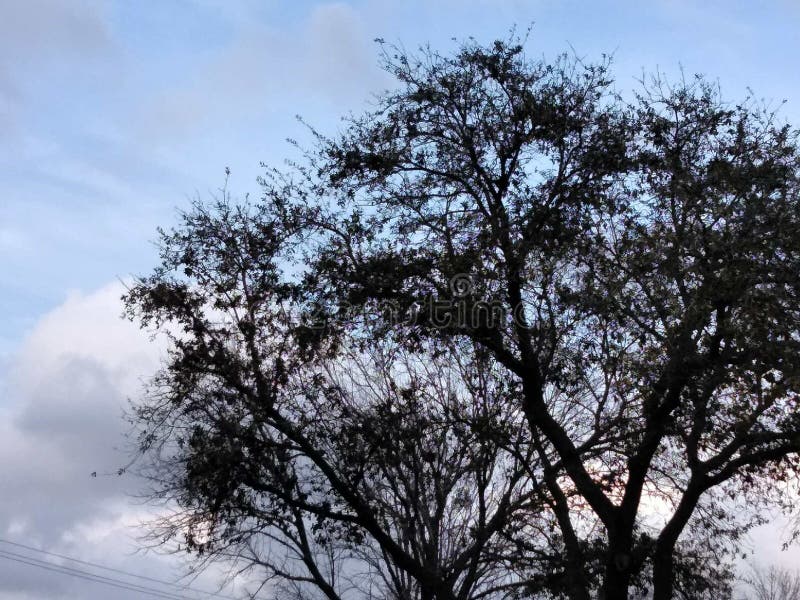 Afternoon Scene stock photo. Image of scene, afternoon - 110418988