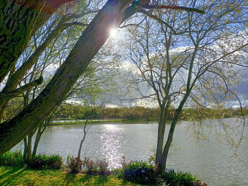 Afternoon Scenery in Early Spring Stock Photo - Image of branches ...