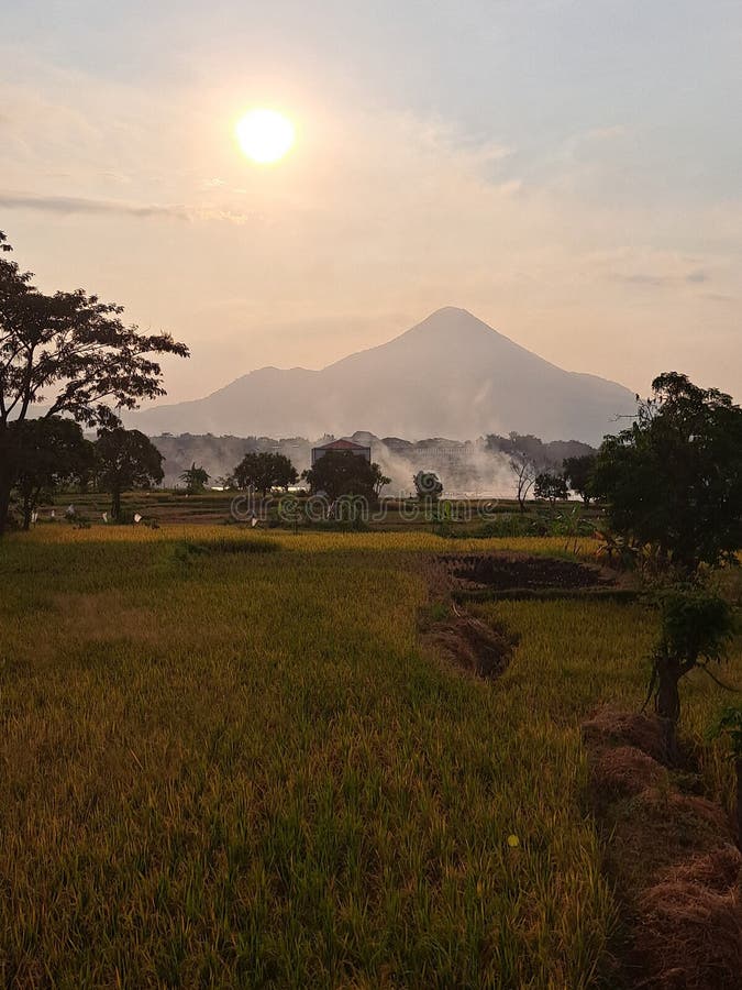 The Afternoon Scenery in My Friend& X27;s House Stock Image - Image of ...