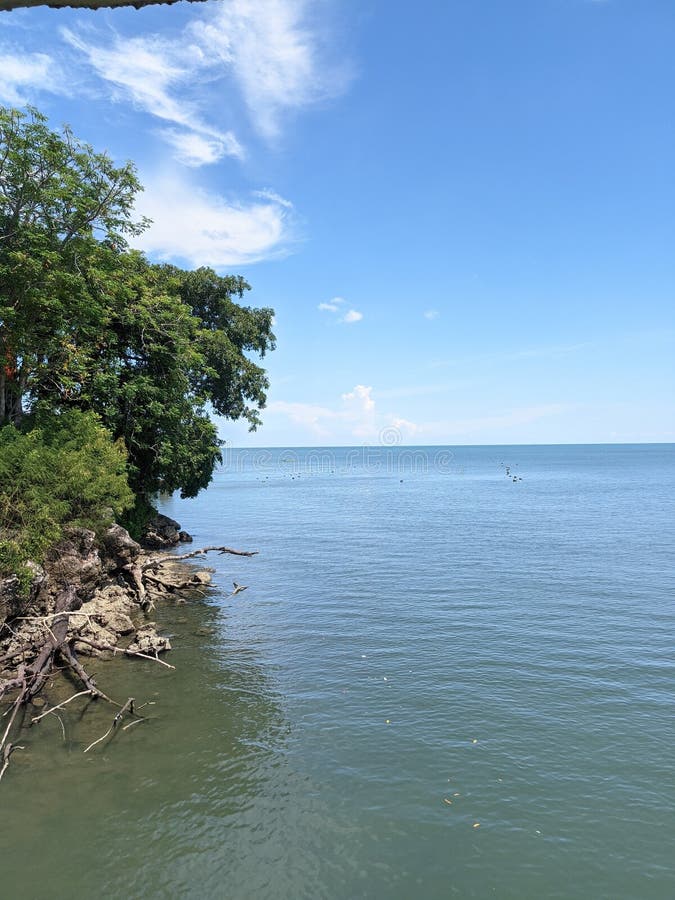 Afternoon by the Sea and See the Waves Moving Against the Trees Stock ...