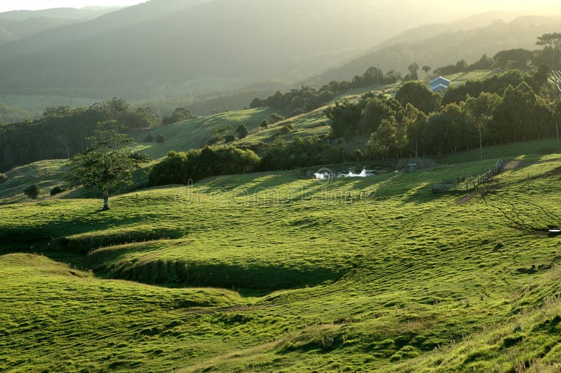 Afternoon shadows stock photo. Image of dawn, landscape - 97930