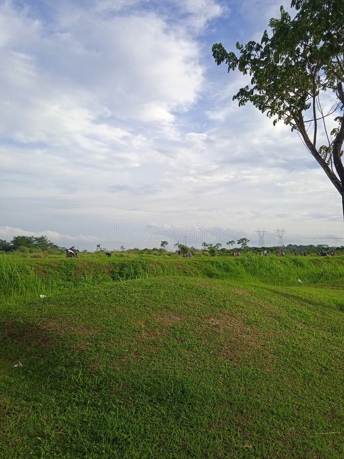 Afternoon Sky is Clear and the Clouds Spread Wide on the Green Grass ...