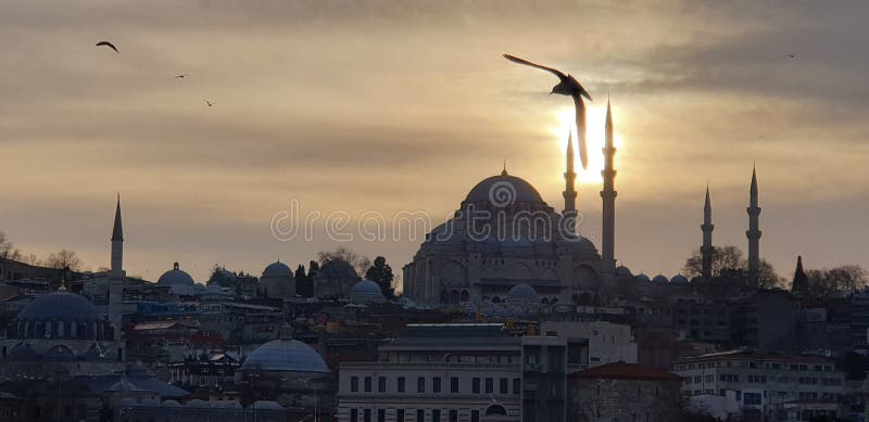 Afternoon Sky in Istanbul stock photo. Image of city - 261769916
