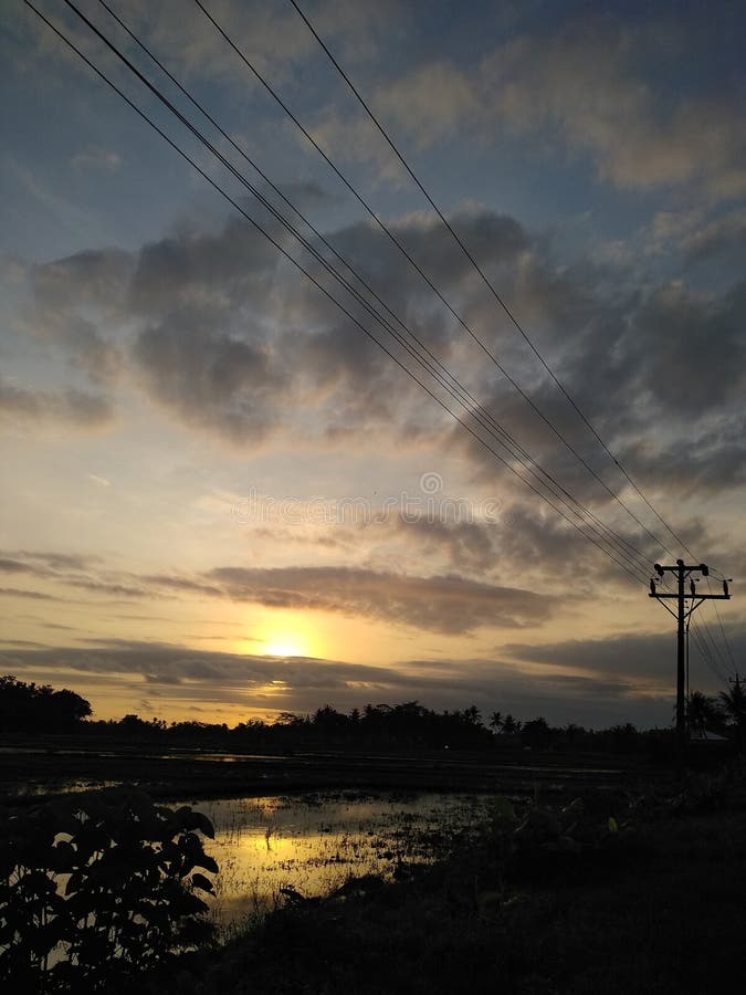 Afternoon Sky Sunset in the Rice Paddies Stock Image - Image of sunset, paddies: 313421145