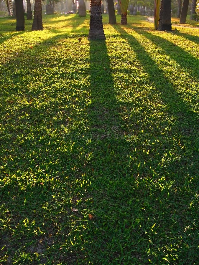 Afternoon Sun Casting Shadows Stock Image - Image of garden, balmy: 504247