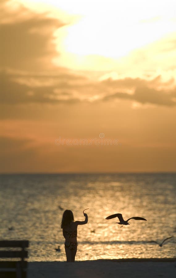 Stock Photos and Royalty-Free Images by Dreamstime