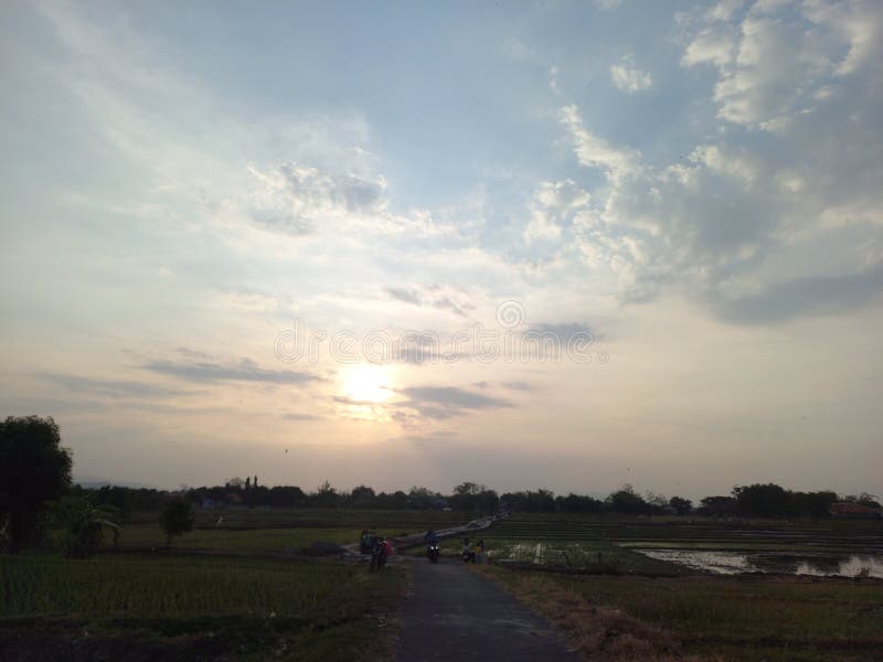 Afternoon Sun Over Cloudy Rice Fields Stock Image - Image of cloudy ...