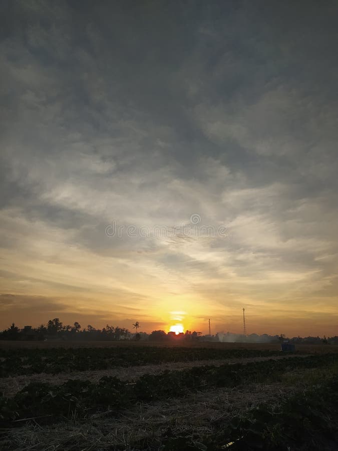 Sunlight View in the Field , Beautiful Moment this Morning Stock Photo ...