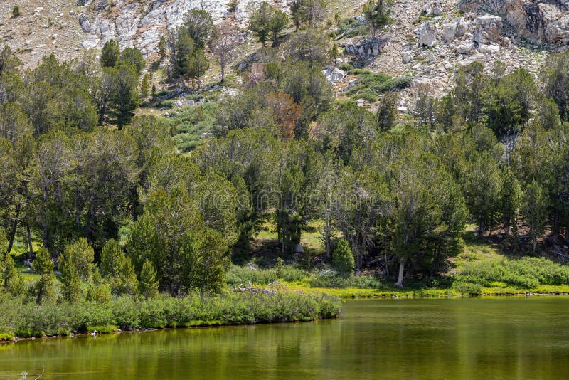 Afternoon View of the Beautiful Castle Lake Stock Image - Image of ...