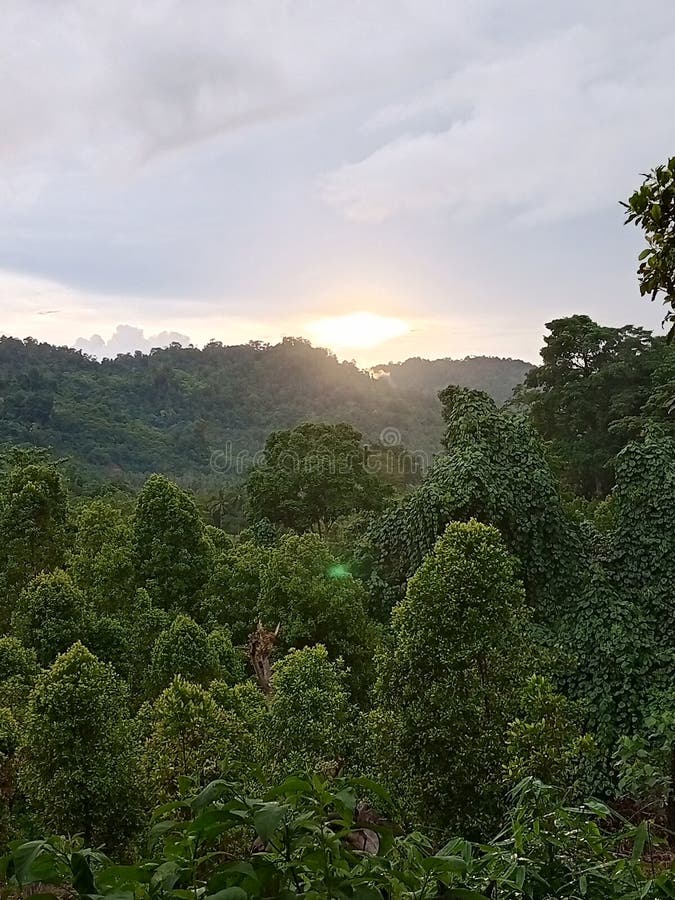 Afternoon View in the Garden Stock Photo - Image of countryside ...