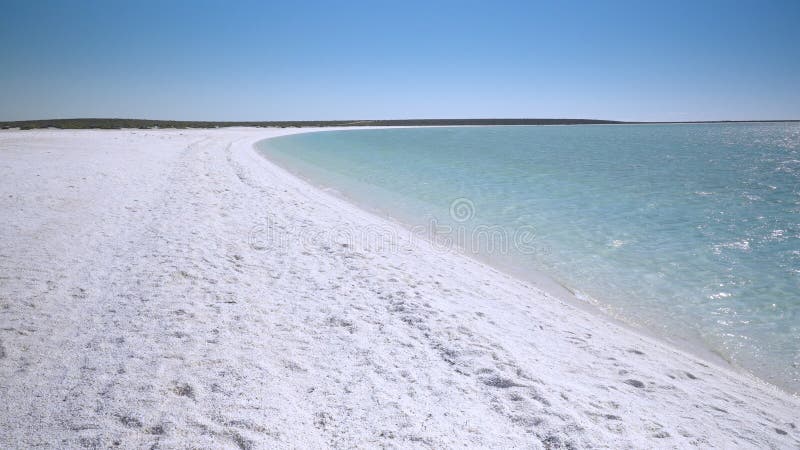Afternoon View of Shell Beach at Shark Bay in Western Australia Stock ...
