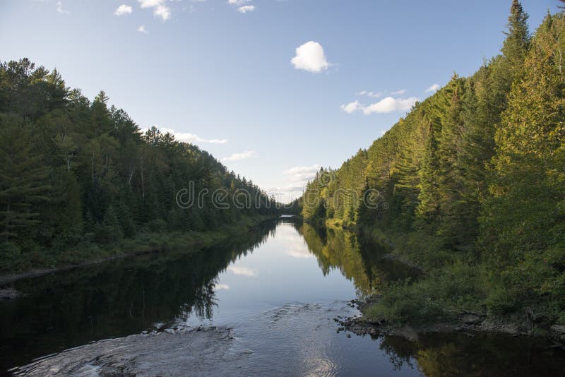 Afternoon warm reflections stock photo. Image of trees - 102219774