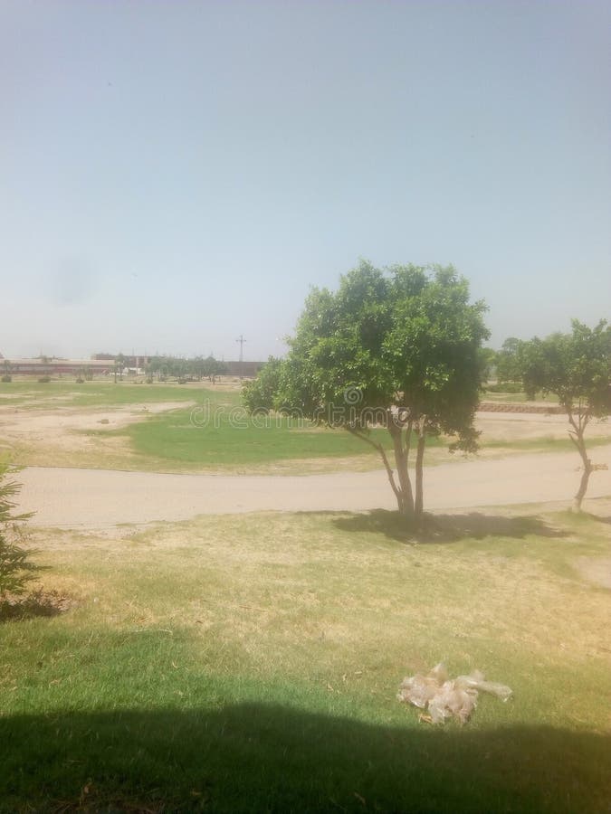 Afternoon Whether in Pakistan Stock Photo - Image of treephoto ...