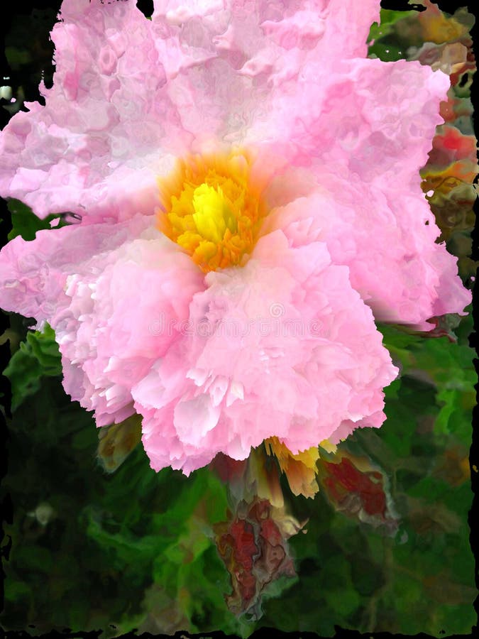 Bursting Flower stock photo. Image of calms, mirrorlab - 133039098