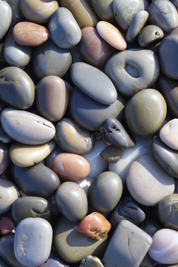 Against this Backdrop, Designs and Patterns Gain an Authentic Coastal ...