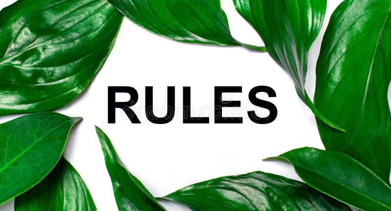 Against the Background of Green Natural Leaves, a White Card with the ...