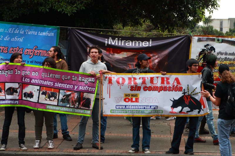 Against bullfighting editorial stock image. Image of arena - 24773414