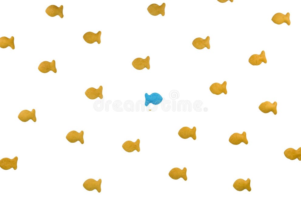 Against the Crowd 1 stock photo. Image of contrast, challenge - 8242942