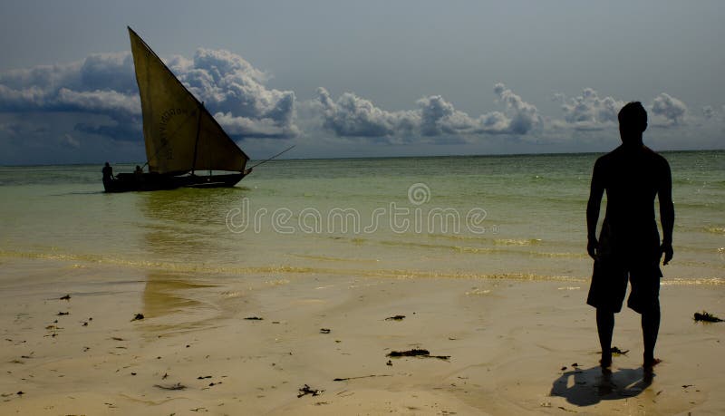 Against the light editorial photography. Image of travel - 26459632