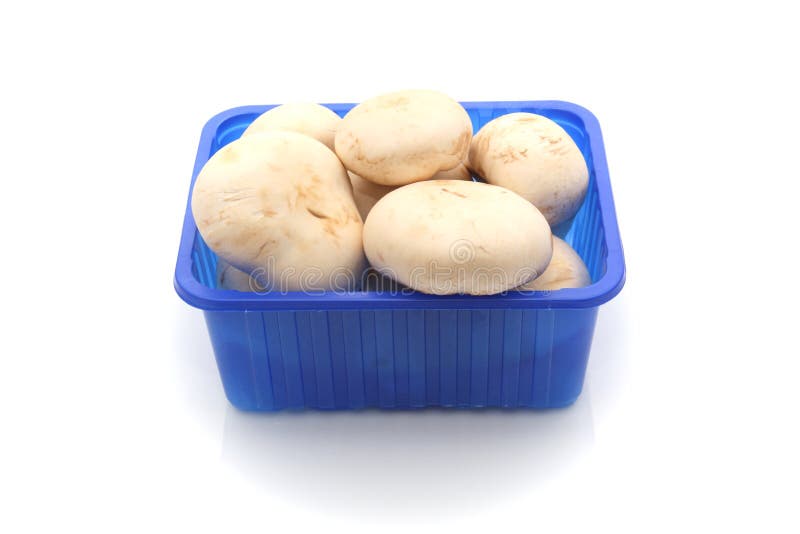 Agaricus Section Under the Microscope Stock Image - Image of healthy ...