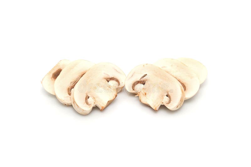 Agaricus Section Under the Microscope Stock Image - Image of fungi ...