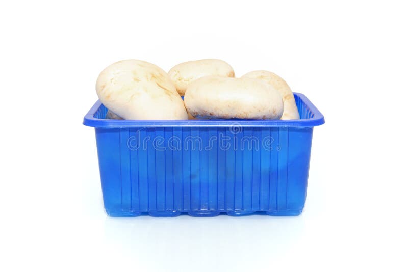 Agaricus Section Under the Microscope Stock Image - Image of fungi ...