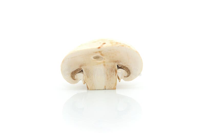 Agaricus Section Under the Microscope Stock Image - Image of fungi ...