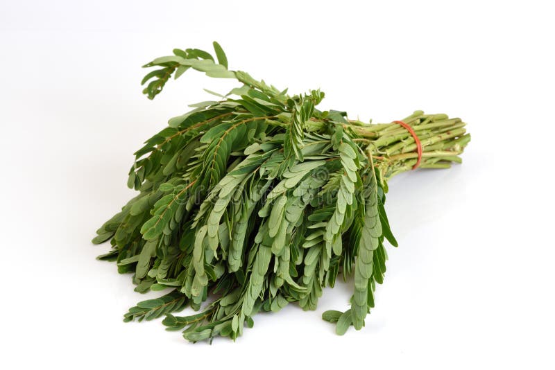 Agasta As Local Vegetables. Stock Image - Image of carotene, phosphorus ...