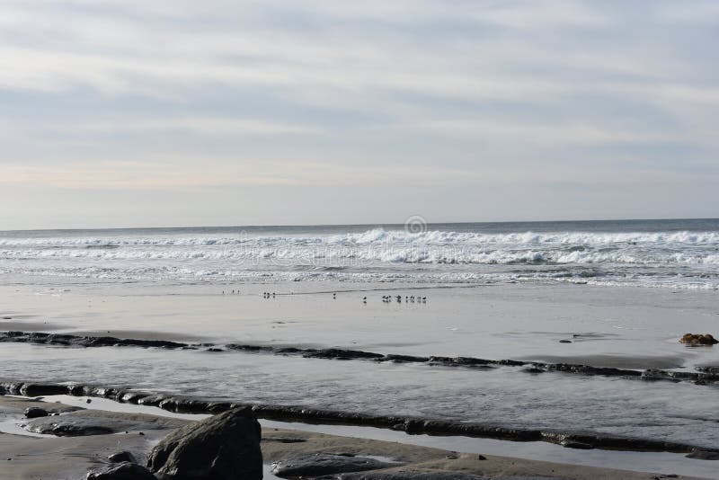 Agate Beach Rocks, Birds and Waves Stock Image - Image of rocks, beach ...
