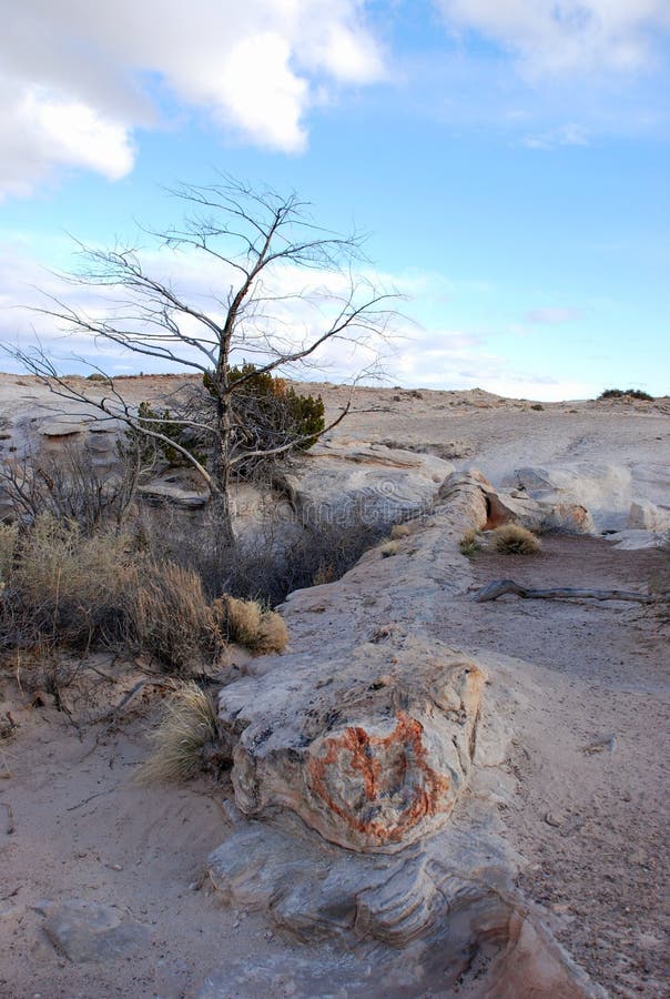 Agate Bridge stock image. Image of desert, park, tree - 12944287