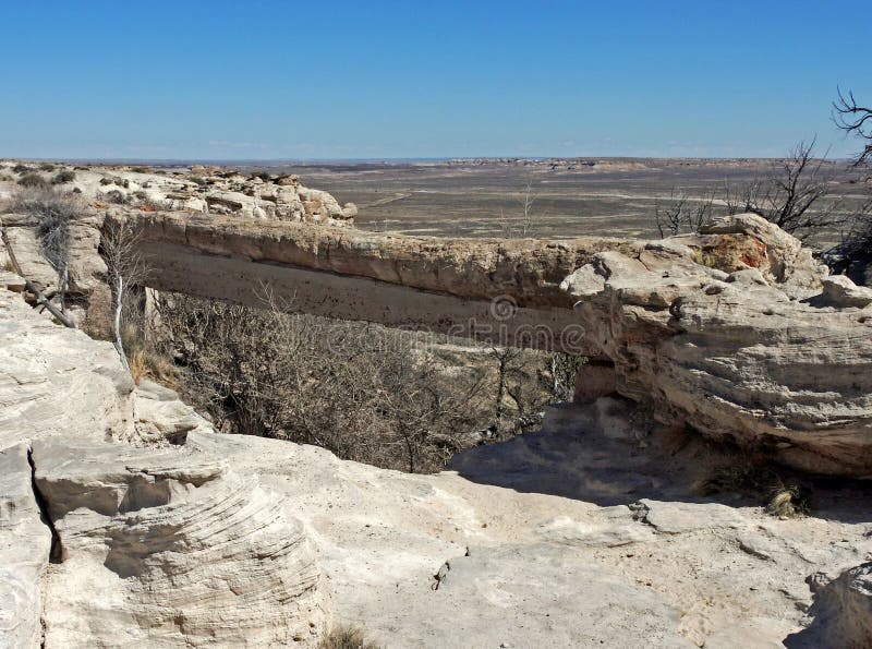 The Agate Bridge - Notable Feature of the Petrified Forest in Arizona ...
