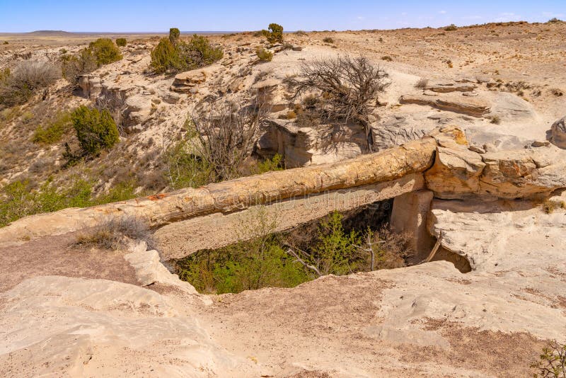 Agate Bridge is a Partially Exposed Petrified Log at the Petrified ...