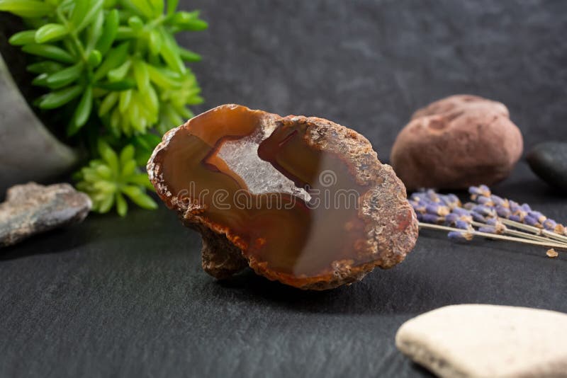 Agate geode stock image. Image of sedimentary, igneous - 188127361