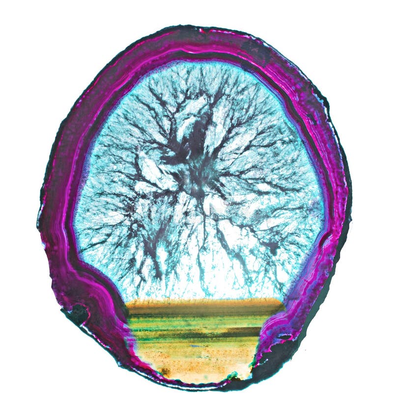 Agate slice stock image. Image of silica, quartz, stone - 83475745