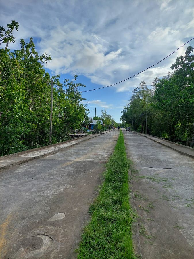 Agats street island stock photo. Image of plant, asphalt - 263810418