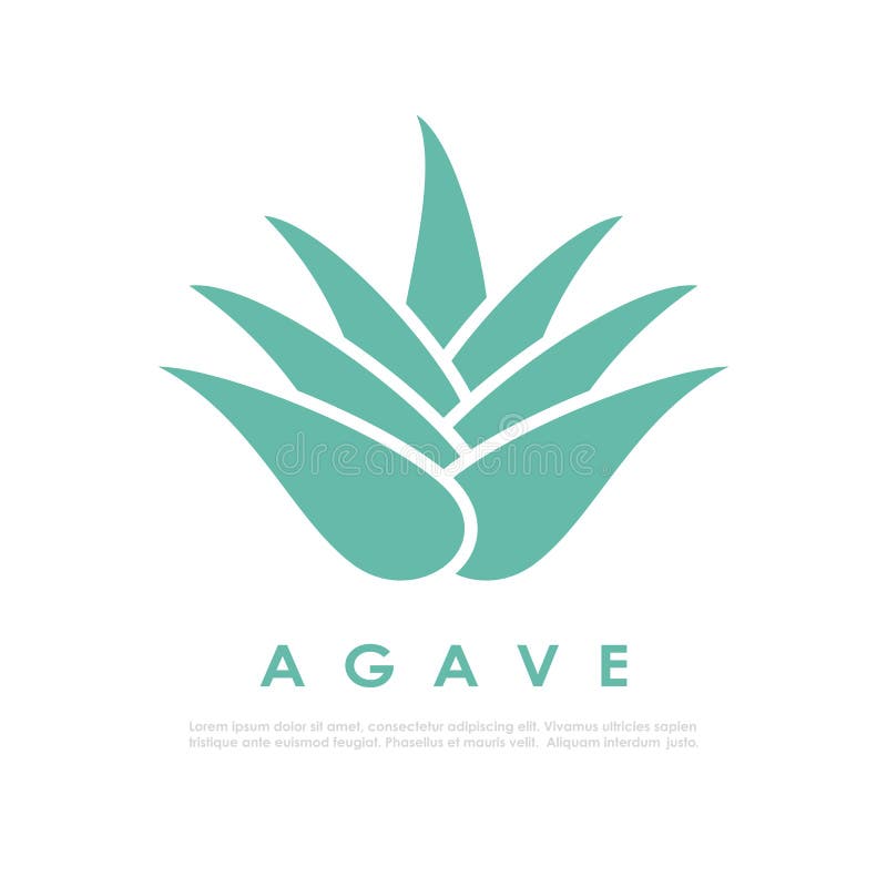Black Line Icon for Agave, Plant and Cactus Stock Illustration ...