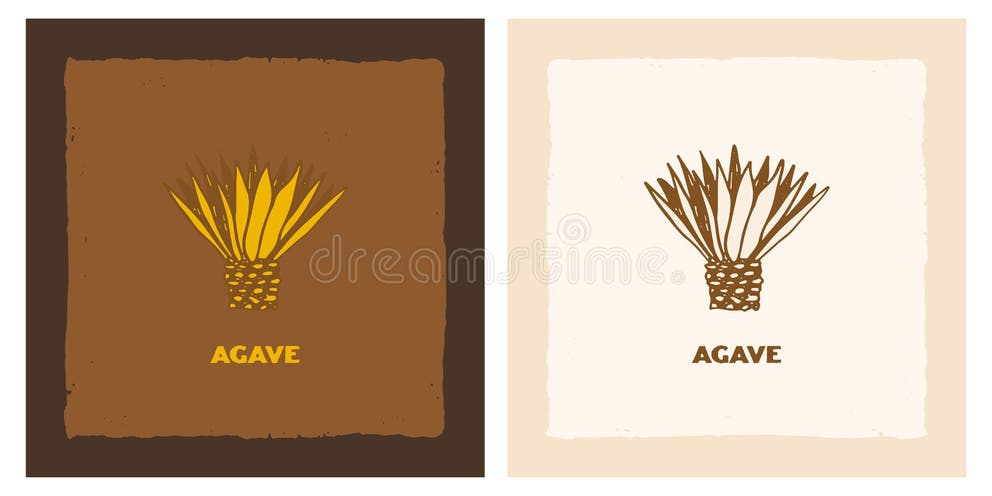 Agave Boho Rough Rustic Style Icon Mark Stock Vector - Illustration of ...