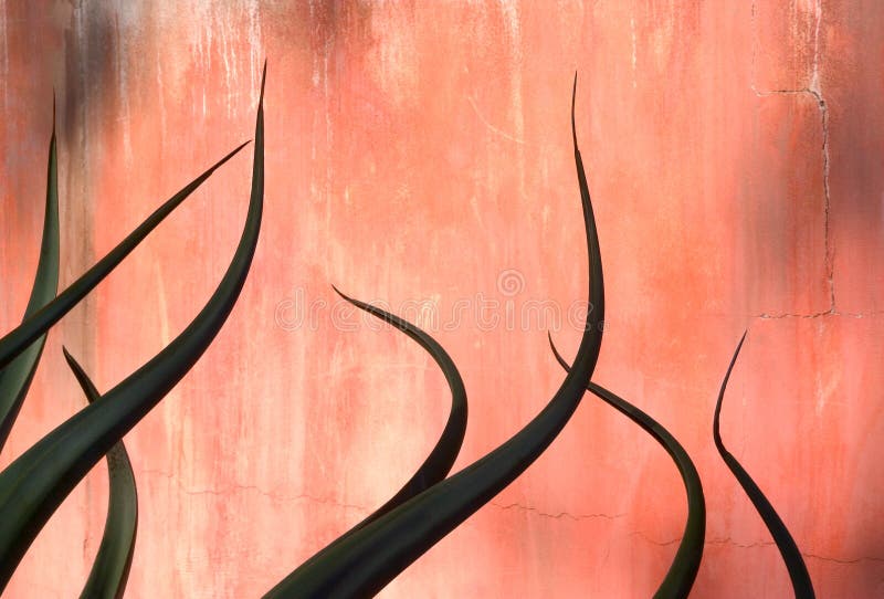 Swirls of color stock photo. Image of thirst, thirsty - 2179870