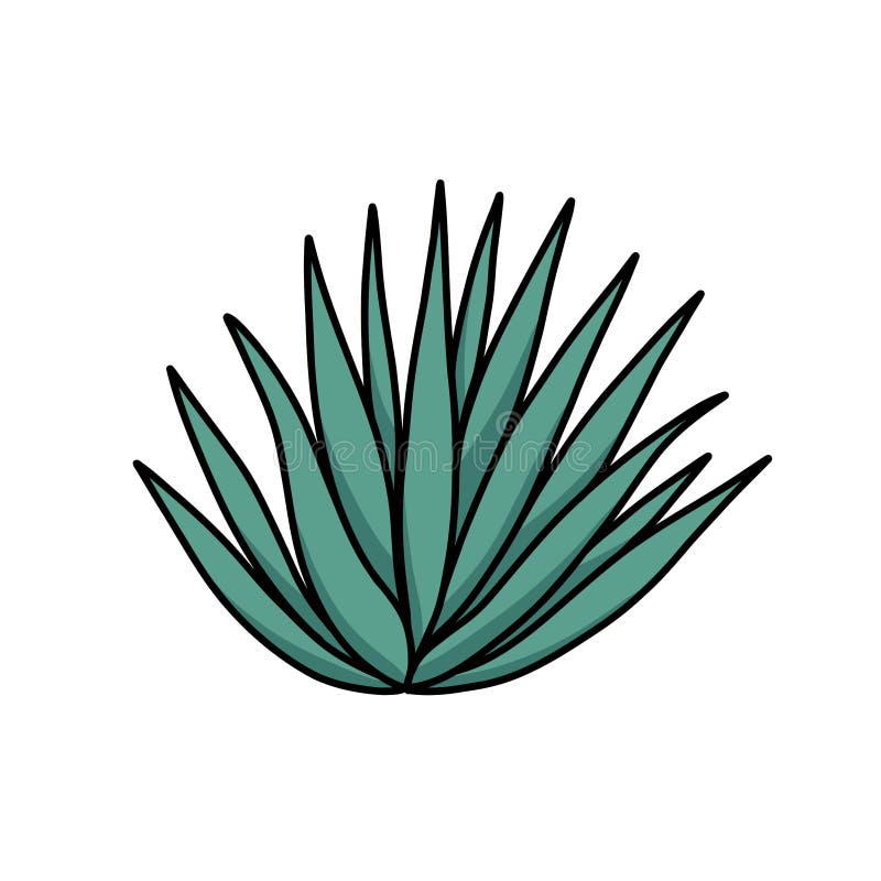 Agave Doodle Icon, Vector Color Line Illustration Stock Vector ...