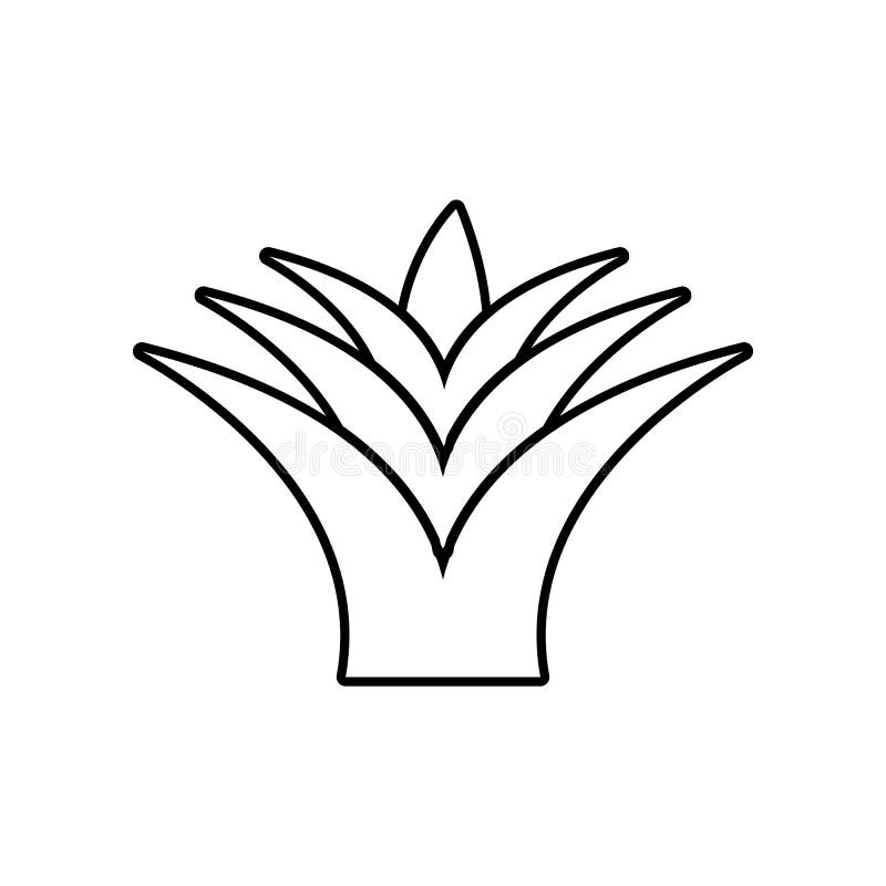 Agave Icon. Element of Mexico for Mobile Concept and Web Apps Icon ...