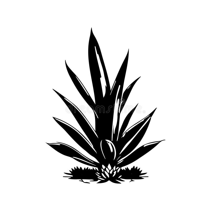 Agave Icon Hand Draw Black Plant Logo Symbol Perfect Stock Vector ...