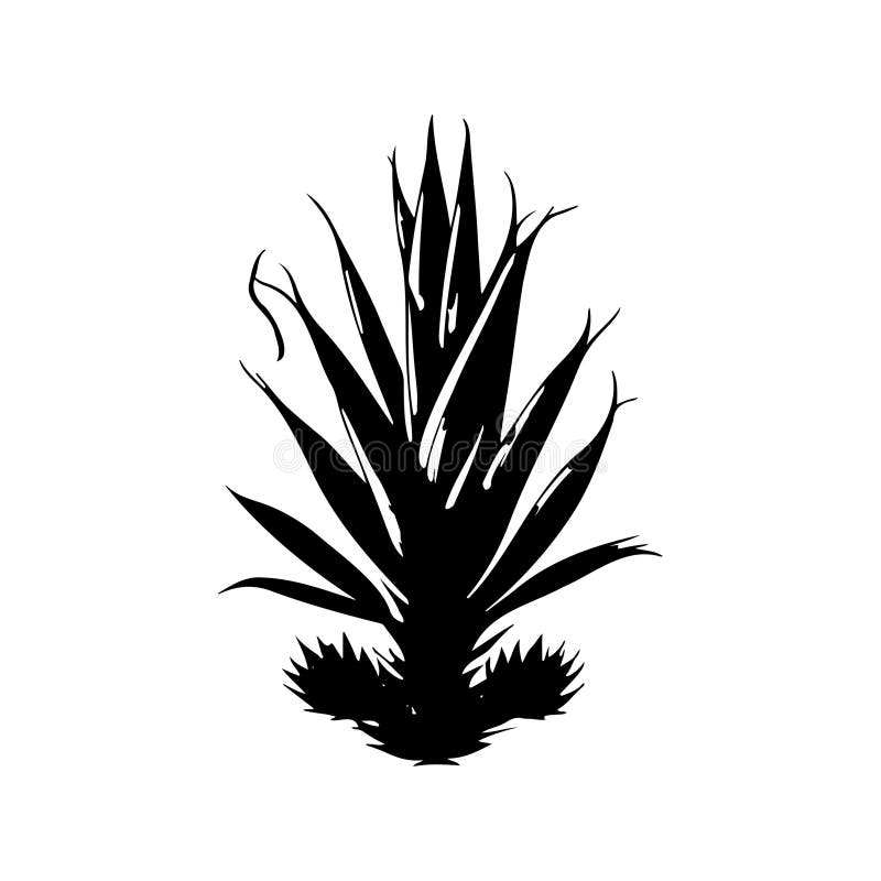 Agave Icon Hand Draw Black Plant Logo Symbol Perfect Stock Vector ...